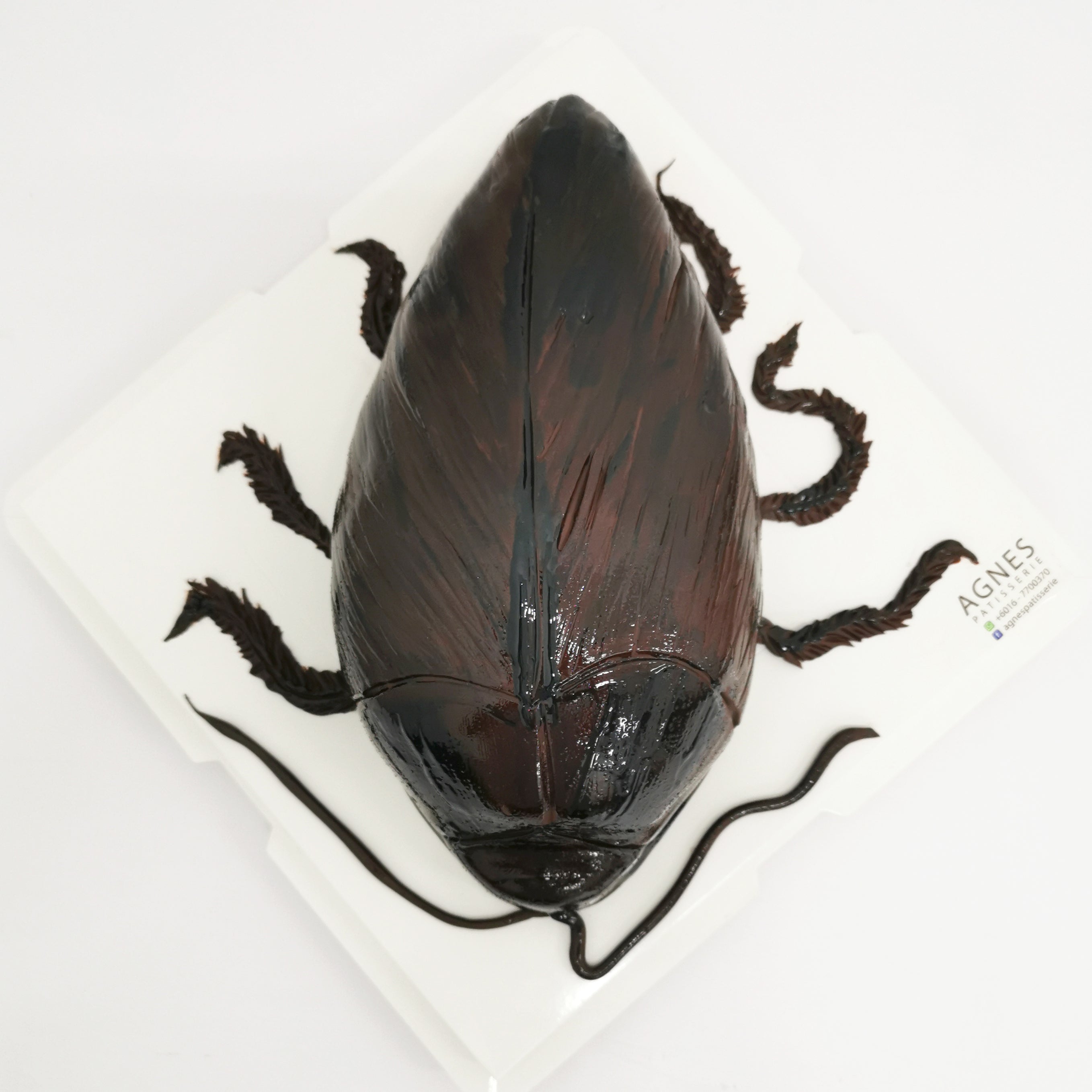 The Disgusting Cockroach | Cake Together | Birthday Cake Delivery