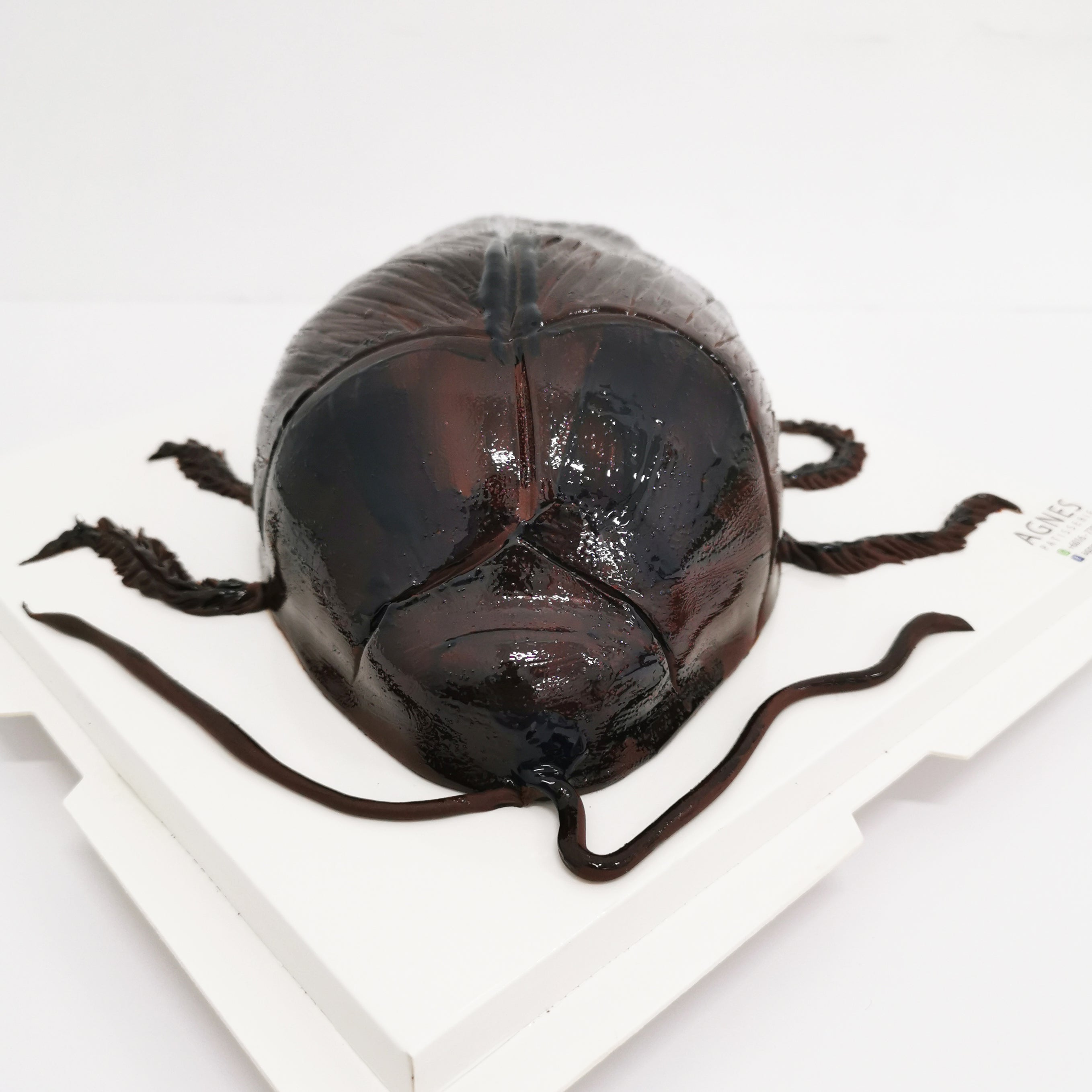 The Disgusting Cockroach | Cake Together | Birthday Cake Delivery